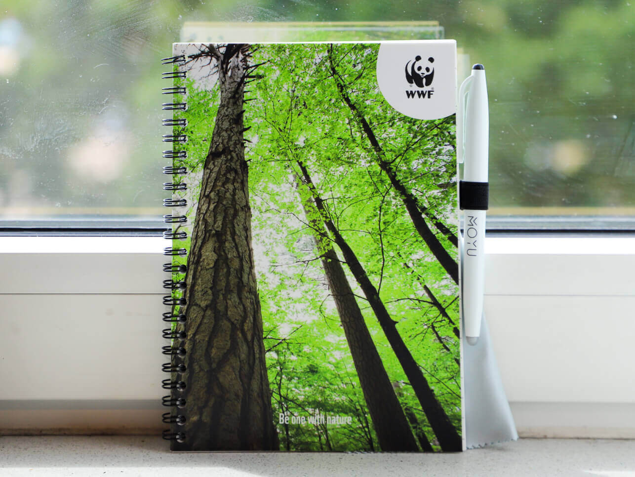 All you need to know about rewritable notebooks